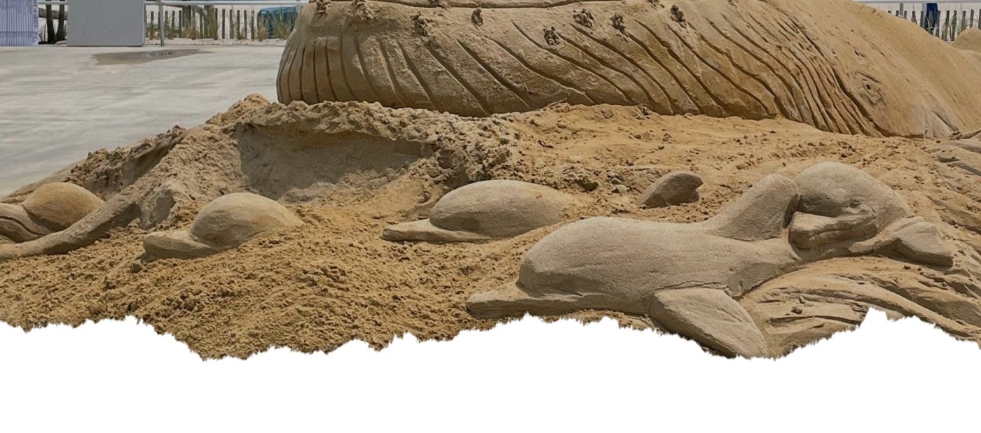 About Us | Funtown Beach