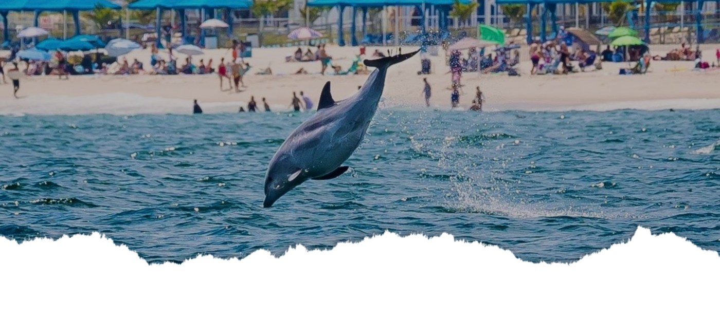 Frequently Asked Questions | Funtown Beach